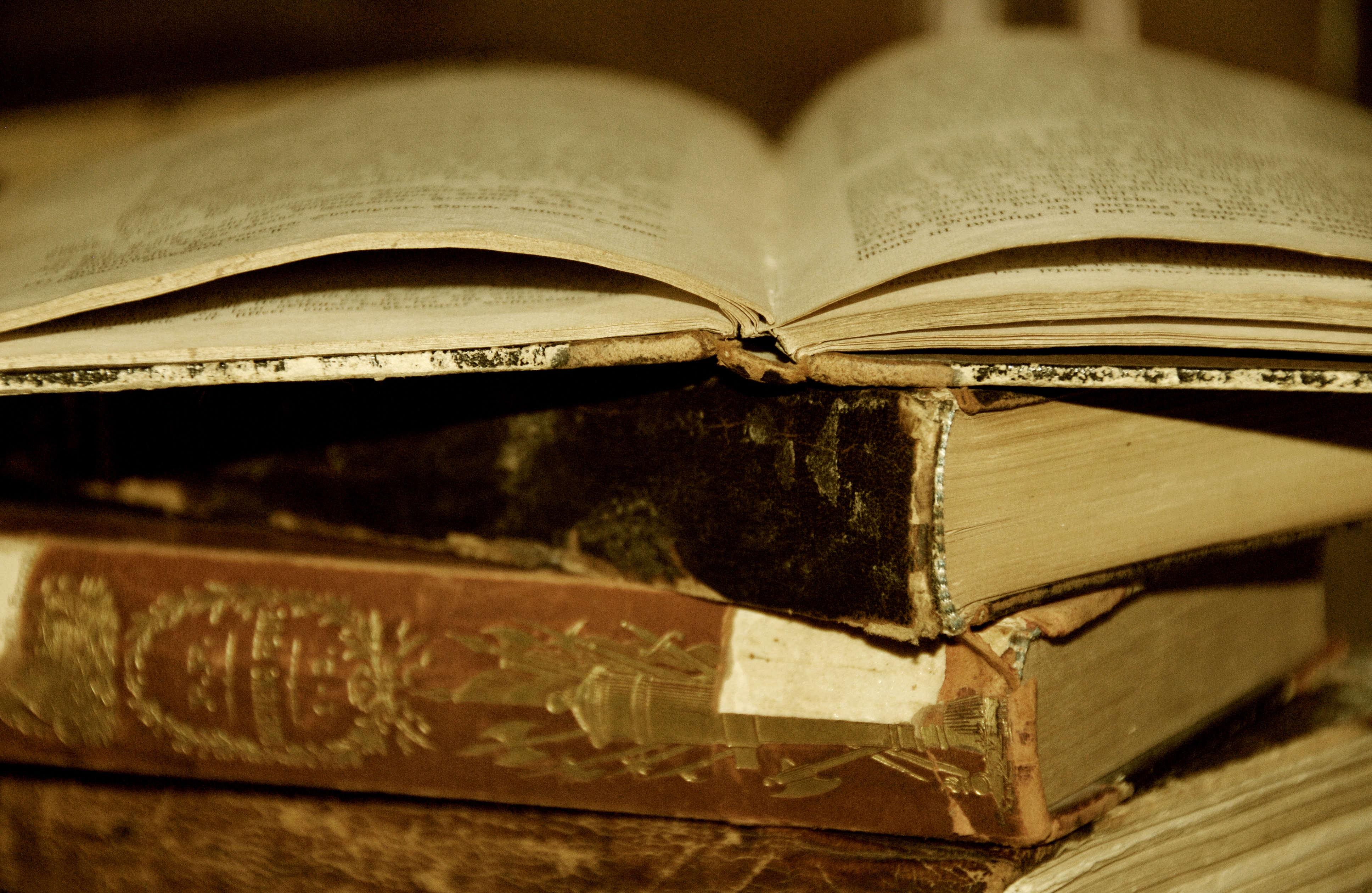 Primary Source Exercises | Faculty of History