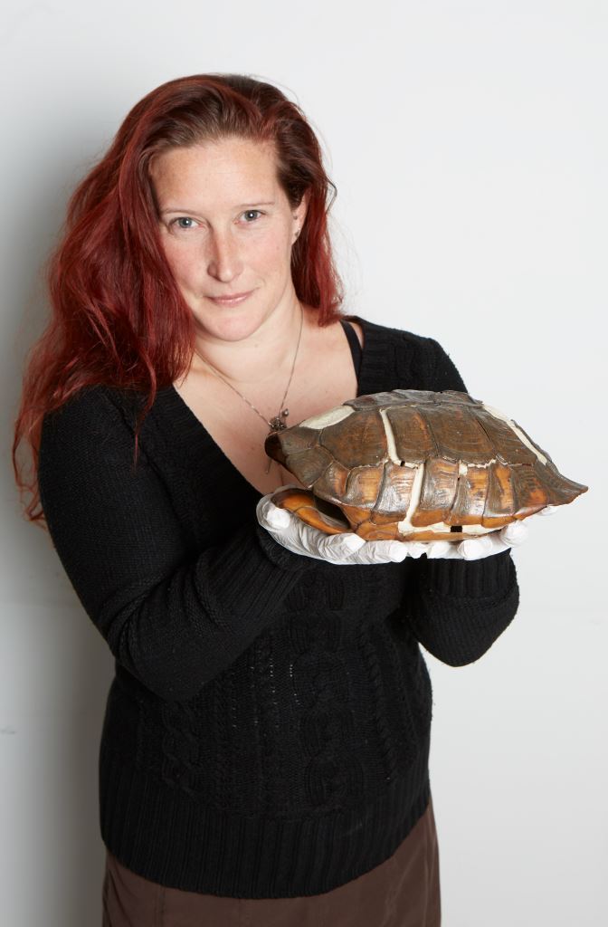 Stephanie Holt | Faculty of History